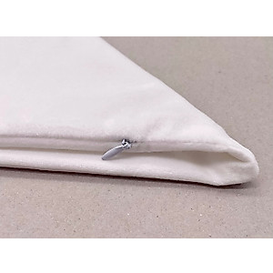 ZJSYXXU Squirrels are My Spirit Animal Throw Pillow Cover 18 x 18 Inch Decoration for Home Bedroom Living Room Office Sofa Bed Couch Decor,Gifts for Squirrel Lovers Women Teen Girls Boys Kids