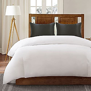 Texbee Silk Pillowcase for Hair and Skin 1PC Both Sides Natural Silk Pillow Cases with Hidden Zipper Soft Breathable Smooth Standard Size(20"x26",Space Grey)