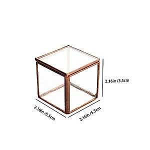Feyarl Tiny Clear Glass Jewelry Trinket Box Ornate Rings Earrings Shadow Organizer Treasure Chest Decorative Keepsake Case with Lid for Wedding Birthday Gift (Brass)