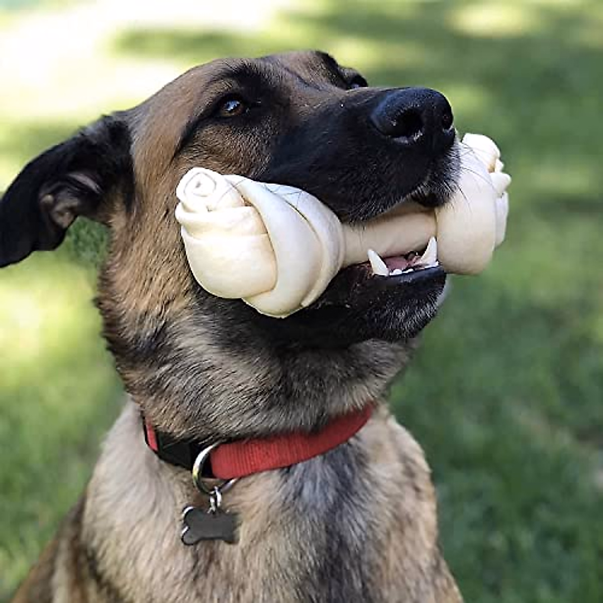 Pet Factory 100% Made in USA Beefhide 4" Knotted Bones Dog Chew Treats - Natural Flavor, 24 Count/1 Pack