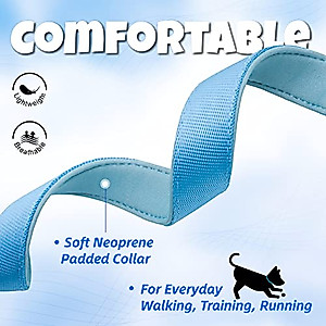 JC HOUSE Dog Collar, Lightweight Soft Padded Classic Pet Collar with Reflective Logo LED Holder & Quick Release Buckles, Small Medium Dog Collar for Daily Use, Blue, S (C-M5S)