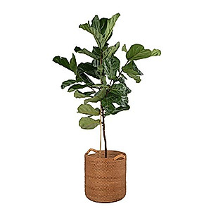 KOUBOO 1060095 Laguna Round Ear Handles, Honey-Brown Rattan Storage Basket