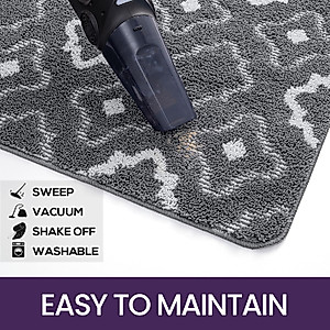 DEXI Door Mats Indoor, Absorbent Non Slip Front Door Rugs for Inside House, Low Profile Easy Clean Entrance Mat, 48"x32", Grey