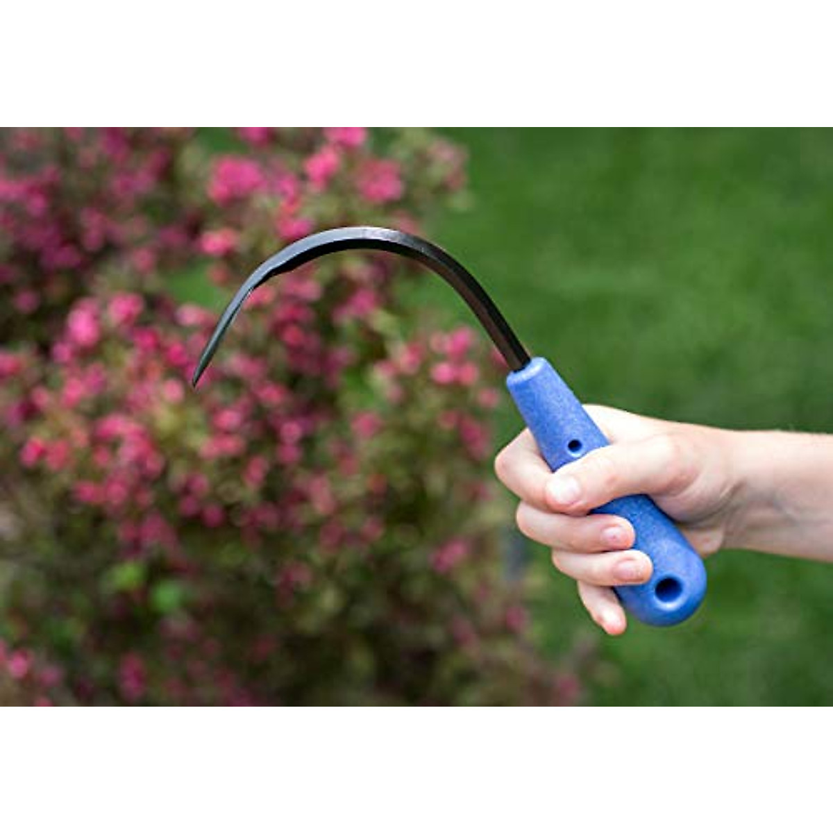 CobraHead® Mini Weeder & Cultivator Garden Hand Tool - Forged Steel Blade - Recycled Plastic Handle - Ergonomically Designed for Digging, Edging & Planting - Perfect for Small Gardening Jobs