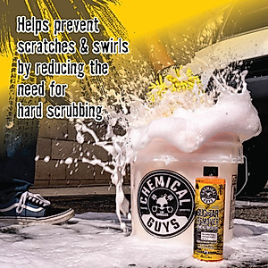 Chemical Guys CWS_104_16 Concentrated Bug and Tar Remover Car Wash Soap (Works with Foam Cannons, Foam Guns or Bucket Washes) Safe for Cars, Trucks, Motorcycles, RVs & More, 16 fl. Oz