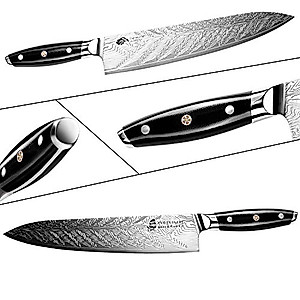 TUO Chef Knife - Kitchen Knives 10-inch High Carbon Stainless Steel - Pro Chef Vegetable Meat Knife with G10 Full Tang Handle - Black Hawk S Knives Including Gift Bo