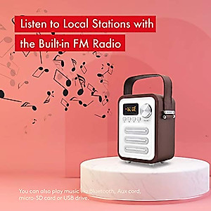 KNZ Retro2 Bluetooth 5.0 Vintage Style Speaker with FM Radio, 10W Speaker, Subwoofer, microSD and USB Streaming, Remote Control, Compatible with True Wireless Stereo