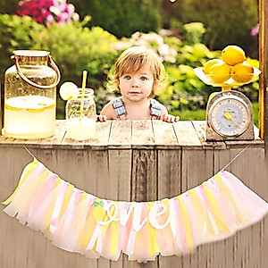 One Person in The Lemon Banner- 1st Birthday High Chair Banner, Smashed Cake, Photo Background Props, Piece Skirt (Lemon Banner)