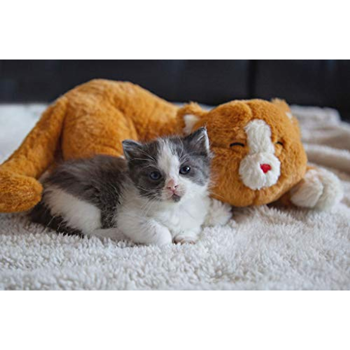 Calmeroos Cat Heartbeat Toys - Calming Separation Anxiety Relief Toys for Kittens - Heartbeat Simulator in a Soft Comforting Pillow Pet Plush