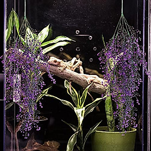 MUYG 2 PCS Reptile Plants for Terrarium, Plastic Hanging Plant with Suction Cup for Bearded Dragon Lizard Gecko Chameleon Tank Habitat Decoration