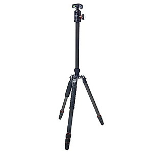 Sigma fp Mirrorless Digital Camera, Bundle with FotoPro X-Go Max Carbon Fiber Tripod & Memory Card Case