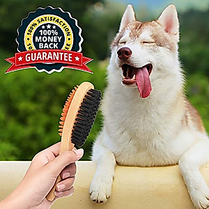 crbn Short Hair Dog Brush - Pet Brushing Comb for Short Hair Coats – Detangling and Shedding Coat Hair Remover