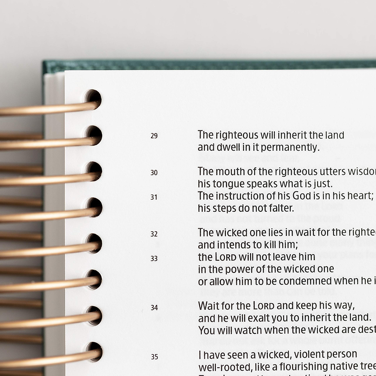Illustrating Bible CSB Green (Spiral Bound Journaling Bible)