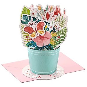Hallmark Paper Wonder Pop Up Card for Mothers Day, Graduation, Administrative Professionals Day or Nurses Day (Displayable Bouquet)