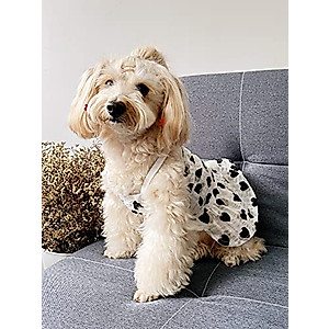 QWINEE Heart Print Dog Cat Dress Dog Princess Dresses Party Birthday Puppy Tutu Skirt Chihuahua Teddy Pomeranian Dress Pet Clothes for Small Medium Large Dogs Cats Kittens Black and White M