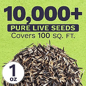 African Marigold Seeds Crackerjack Mix - Bulk 1 Ounce Packet - Over 10,000 Seeds - Huge Orange and Yellow Blooms