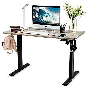 VIZTY Electric Standing Desk,Height Adjustable Home Office Desks with USB Charging Port,Sit and Stand Up Table with 48 x 24 Inches One-Piece Table Top (White Maple)
