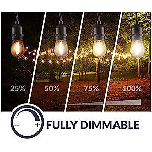 Newhouse Lighting LED String Lights with Weatherproof Technology, Dimmable with Wireless Remote Control, 48ft and 16 (15+1 Free) LED Light Bulbs Included, Black (CSTRINGLEDDIM)