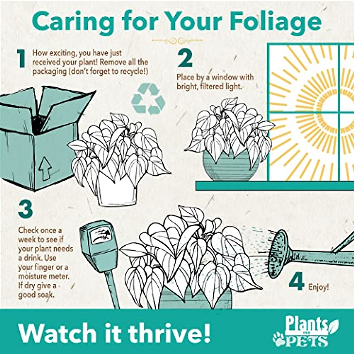 Essential Houseplant Collection (4PK) Live Plants Indoor Plants Live Houseplants in Plant Pots, Easy House Plants Indoors Live, Snake Plant, Pothos in Potting Soil, Clean Air Plants by Plants for Pets