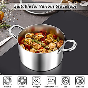 E-far 4 Quart Stock Pot, Tri-Ply Stainless Steel Cooking Pot with Glass Lid and Riveted Handles, Metal Pasta Soup Pot for Induction Ceramic Electric Gas Stoves, Heavy Duty & Dishwasher Safe