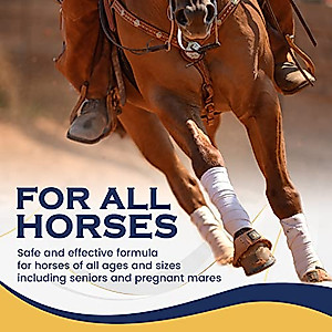 Ultimate OEC - Horse Omega 3 Supplement with Flax Seed Oil, Vitamin E Oil, and Colloidal Silver for Shiny Skin and Coat - Vet-Approved Horse Supplement for Immunity, Gut, Hoof & Bone Support