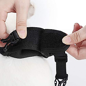 Pettom Bunny Rabbit Harness with Stretchy Leash Cute Adjustable Buckle Breathable Mesh Vest Harness and Leash Set for Kitten Small Pets Holland Lop Bunnies Walking (S(Chest:10.8-12.9 in), Pink)