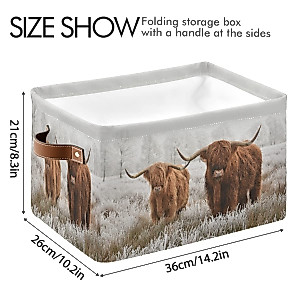 Scottish Highland Cow Storage Basket Fabric Storage Bin Baskets Bull Farmhouse Funny Animal Foldable Storage Boxes Bag for Baby Cloth Dog Toy Book Storage Cubes Shelf Closet Basket 16×12×8 Inches