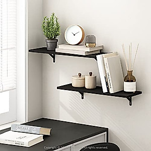 Furinno Rossi 23-Inch Wall Mounted Floating Display Shelves, Espresso, Set of 2