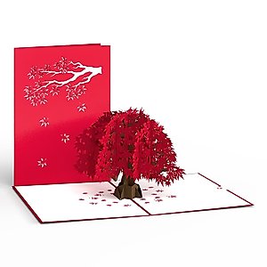 Lovepop Everyday Pop-Up Card for Her and Him- 3D Thinking of You Greeting Cards for Boys, Girls, Men, Women - 5" x 7" Maple Tree - Blank Note Card & Envelope Included