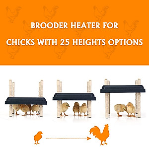 Pitalok Brooder Heater for Chicks: Chick Brooder Heating Plate with Easy- Cleaning Plate Poultry Coop Heater Chicks Warmer 10" x 10" for 15 Chicks Adjustable Height Brooding Heater 15 Watts