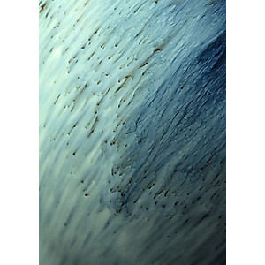 Denby Halo Medium Serving Bowl