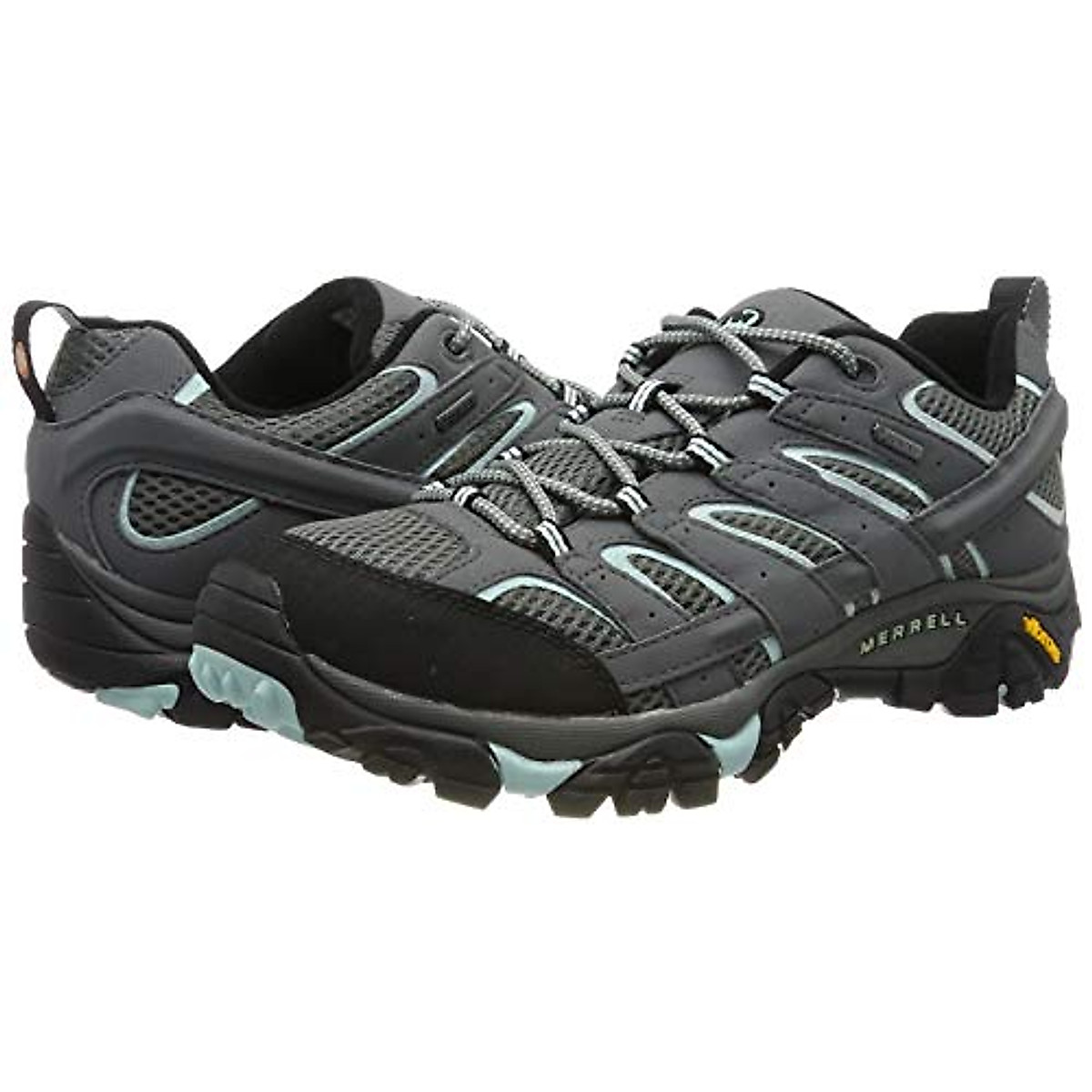 Merrell womens Moab 2 Gtx Hiking Shoe, Sedona Sage, 10.5 US
