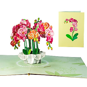 WOWPAPERART Orchid Flower - 3D Pop Up Greeting Card For All Occasions - Love, Birthday, Christmas - Blank Inside for Personalized - Thick Envelope - 5x7 In
