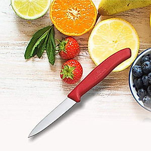 Victorinox VIC-6.7601 Swiss Classic Paring 3¼" Straight Spear Point Blade 5/8" Width at Handle Red