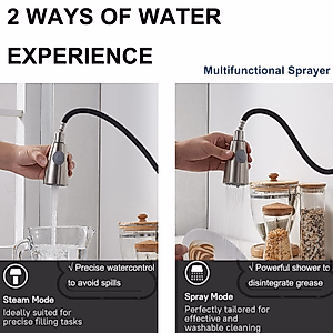 Friho Brushed Nickel Kitchen Faucet with Pull Down Sprayer, Modern Single Handle Stainless Steel Pull Out Spring Kitchen Sink Faucets with Deck Plate for Camper Rv Bar