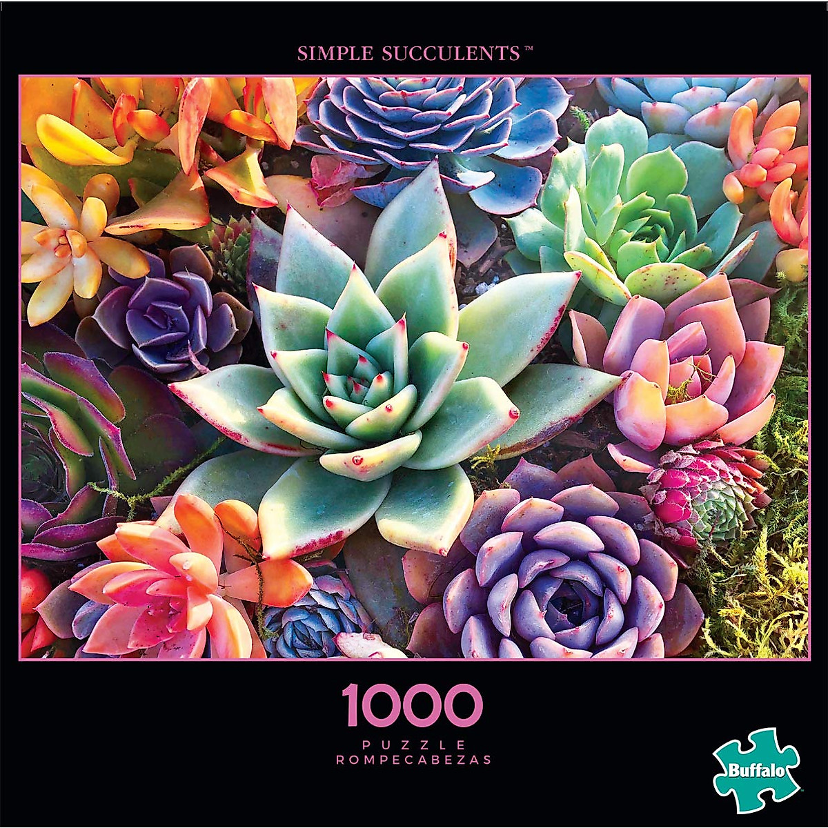 Buffalo Games - James Mertke - Simple Succulent - 1000 Piece Jigsaw Puzzle For Adults - High Quality Challenging Puzzle Perfect for Game Nights - Finished Puzzle Size is 26.75 x 19.75