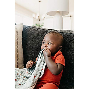 Copper Pearl Baby Security Blanket Set of 2 - Portable Size for Self-Soothing On-The-Go, Ideal Baby Blankets for Boys and Girls, Ultra-Soft, and Gift-Ready Loveys - Trout