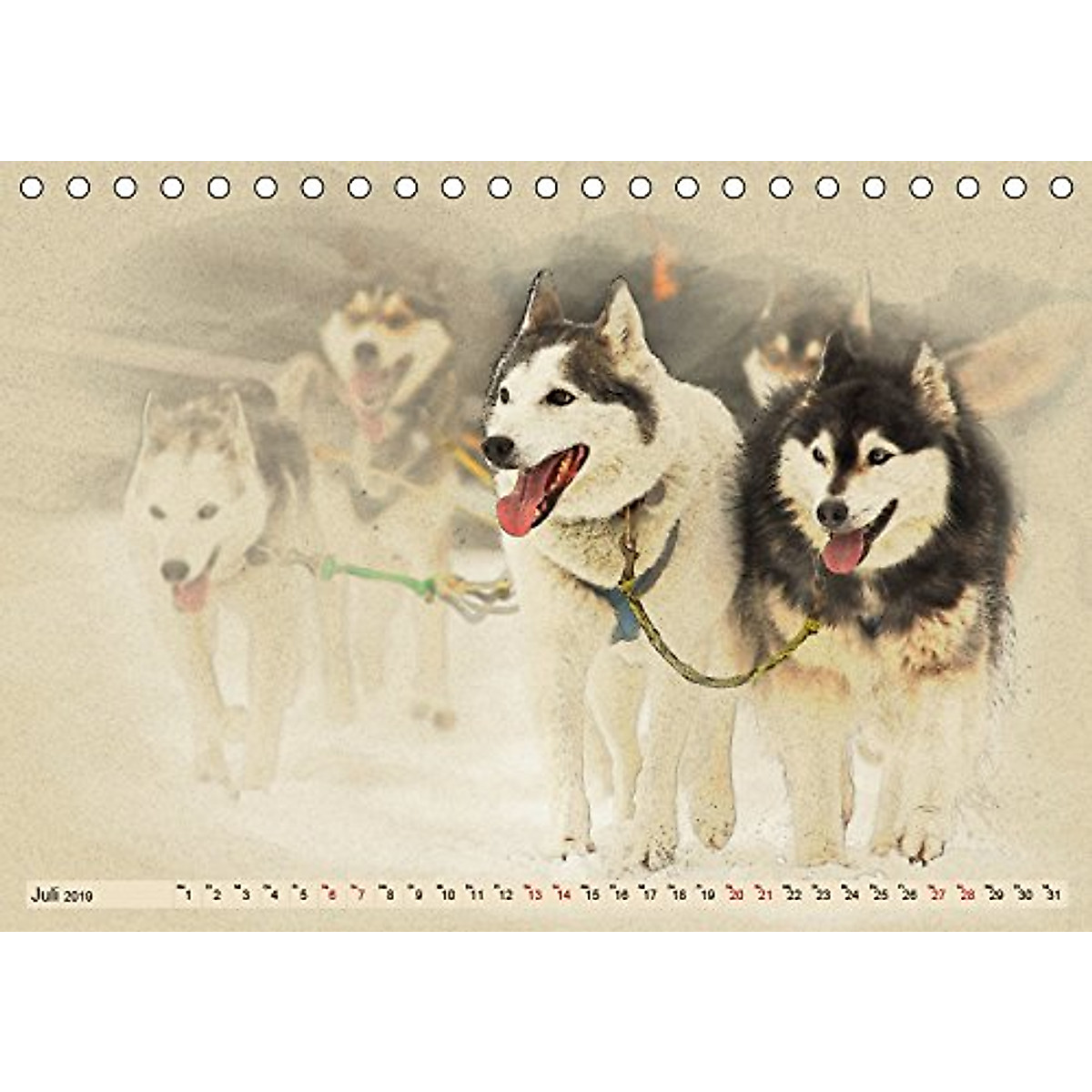 Schlittenhunde 2019 (Tischkalender 2019 DIN A5 quer): Der Kalender ist im kunstvollen Aquarell-Stil gehalten, so dass jedes einzelne Bild einem kleinen Kunstwerk gleicht. (Monatskalender, 14 Seiten )