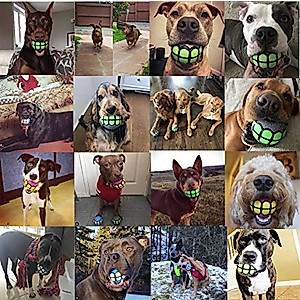 Dawg Grillz Dog Balls Toys Squeaky Fetch - Rubber Funny Ball Gifts for Large Medium Dogs (Variety Pack)