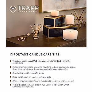 Trapp 2oz Votive Scented Candle Herbal Aromatherapy Variety, Set of 4 - No.76 Watermint Eucalyptus, No. 78 Ginger Sage, No. 79 Lemon Leaf & Basil, and No. 07 Patchouli Sandalwood