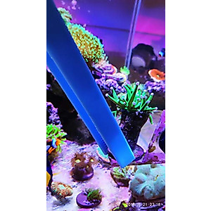 Aquarium Choice Coral Feeder Long Syringe Reef Feeder SPS HPS Marine Reef Coral Feeder Tool Fish Excreta Cleaner (11.8 inch Coral Tweezers Never Rust)