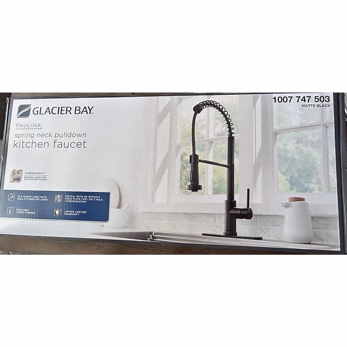 Glacier Bay Paulina Single-Handle Spring Neck Pull Down Sprayer Kitchen Faucet in Matte Black