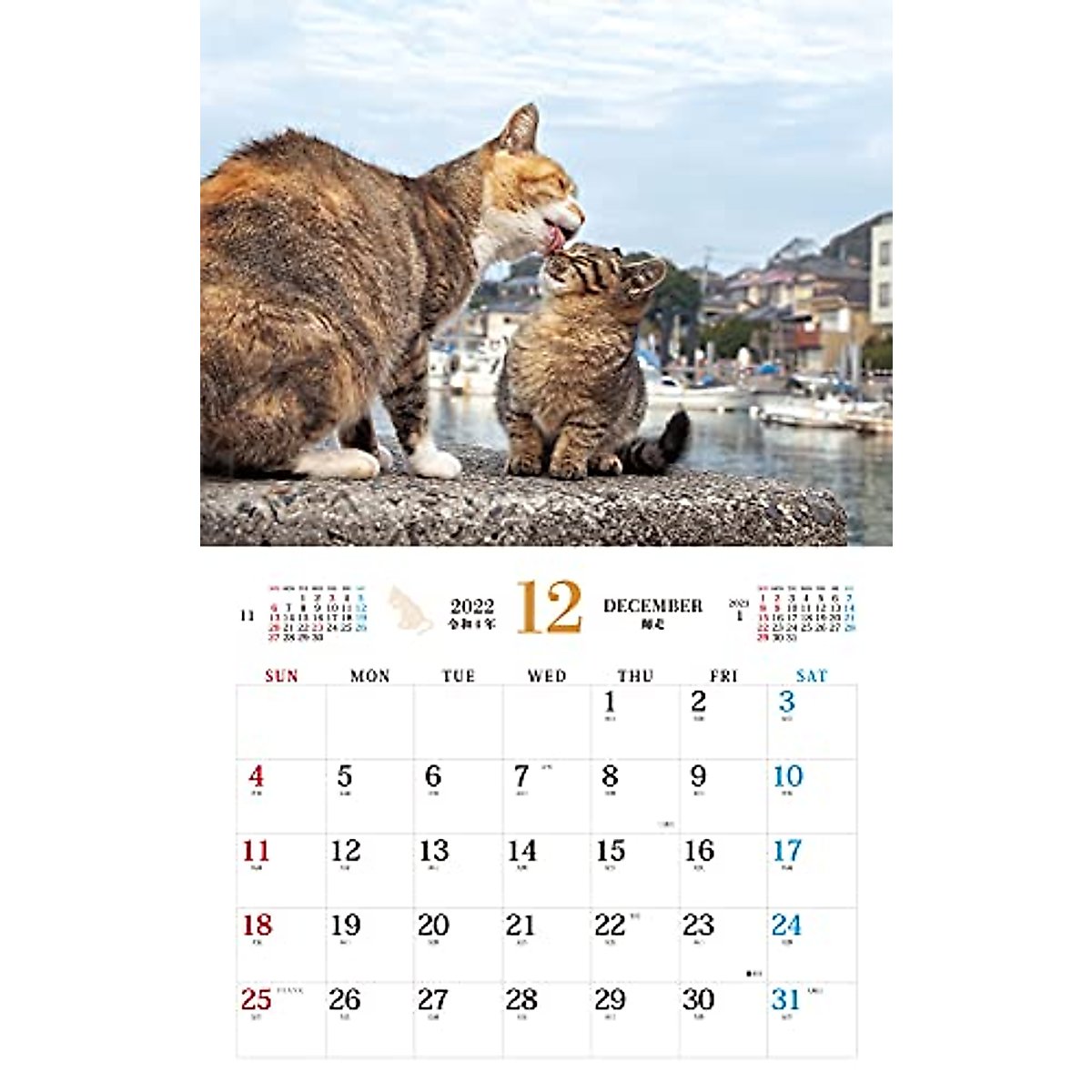 そとねこ (インプレスカレンダー2022)