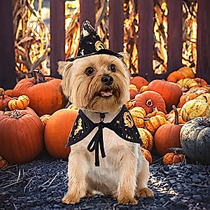 Mogoko Halloween Witch Dog Costumes, Pet Halloween Cosplay Hoodies, Adorable Cat Costume,Animal Fleece Cloak Warm Outfits Clothes for Puppy Small Dogs Cats