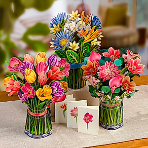 Freshcut Paper Pop Up Cards, Paper Flower Bouquet 3D Popup Greeting Cards with Note Card & Envelope, Birthday Card, Anniversary Card, Get Well Gifts for Women, 12" Everyday Appreciation 3pk