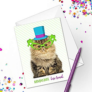 Funny Cat Pun Birthday Card Pack / 24 Cat Birthday Cards With White Envelopes / 4 7/8" x 3 1/2" Cats Birthday Note Cards/Hilarious Cute Kitten Birthday Greeting Cards