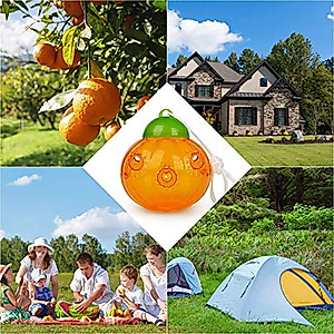 Aspectek Wasp Trap Outdoor or Indoor Hanging Helps You to Rescue from Insects, Yellow Jackets, Hornets, Honey Bees, Flies, Gnat, etc, 2 Pack