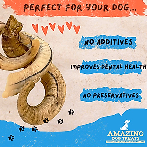 Amazing Dog Treats - Lamb Horn (5 Count) Lamb Horn Antler Dog Chews - Horn Bones for Dogs - Long Lasting Horn Dog Chews