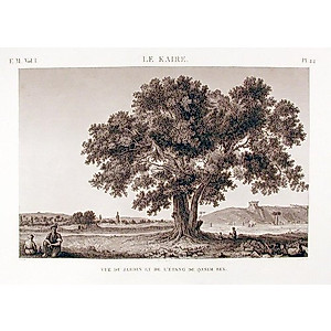 Le Kaire. Vue du Jardin et de l'Etang de Qasim Bey