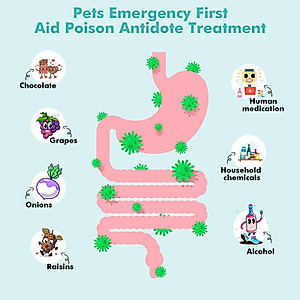 Activated Charcoal Gel for Dogs for Poisoning, 100 ml Dog First Aid Activated Charcoal, Quickly Absorbs Toxins Ready Rescue for Dogs， Supports Diarrhea & Gas Relief